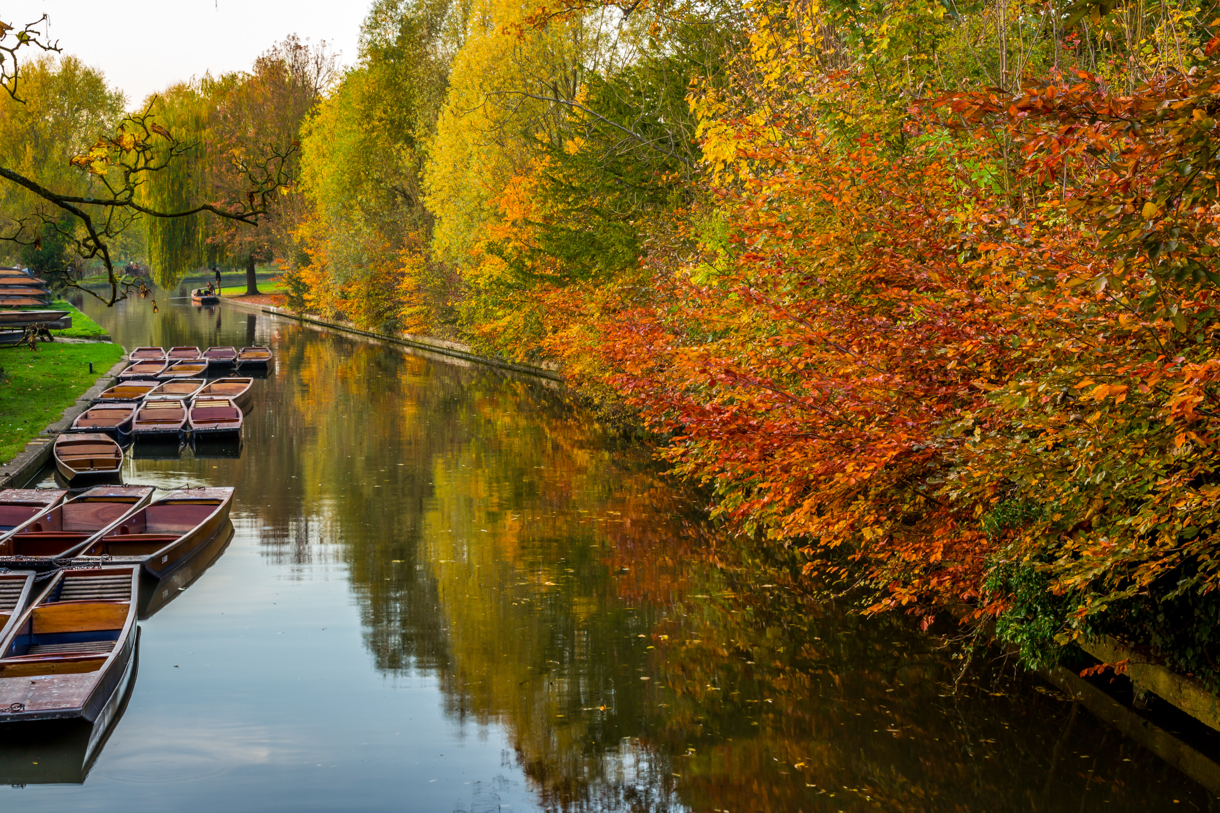 MLIR (Un)School - peer-learning for experts